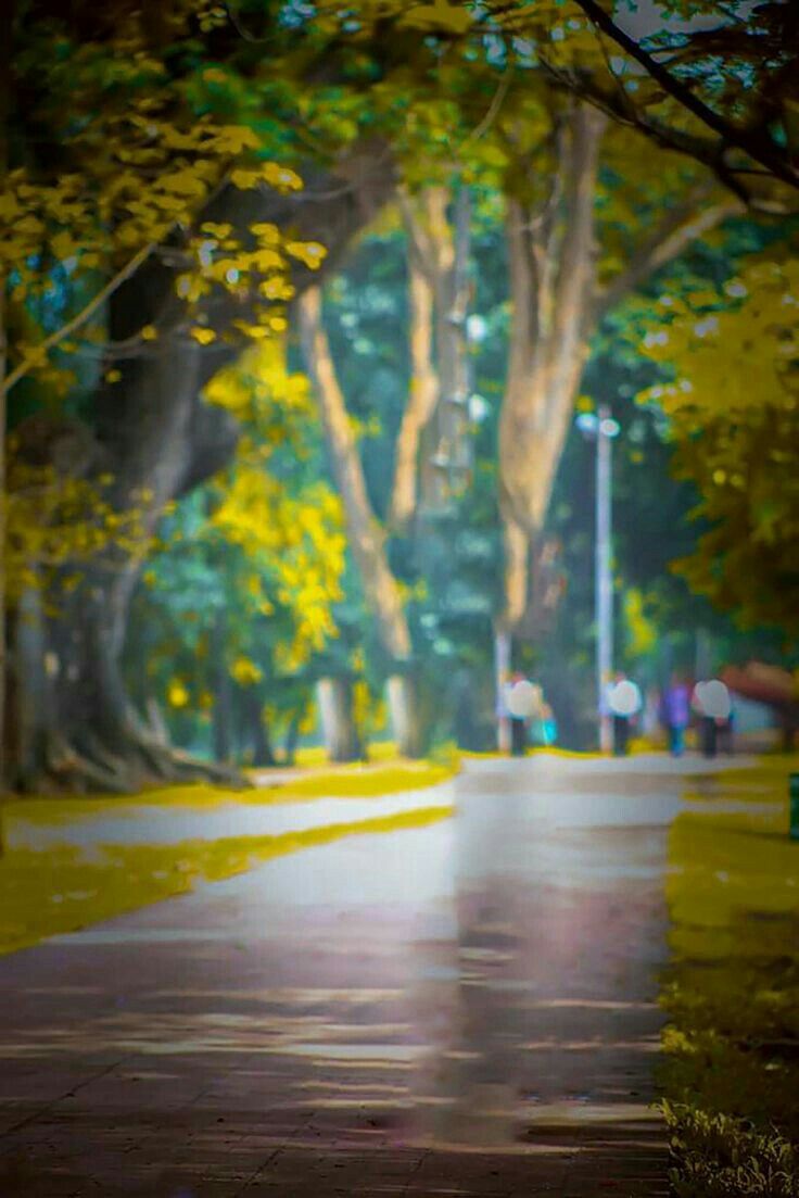 How To Blur The Background In Photoshop